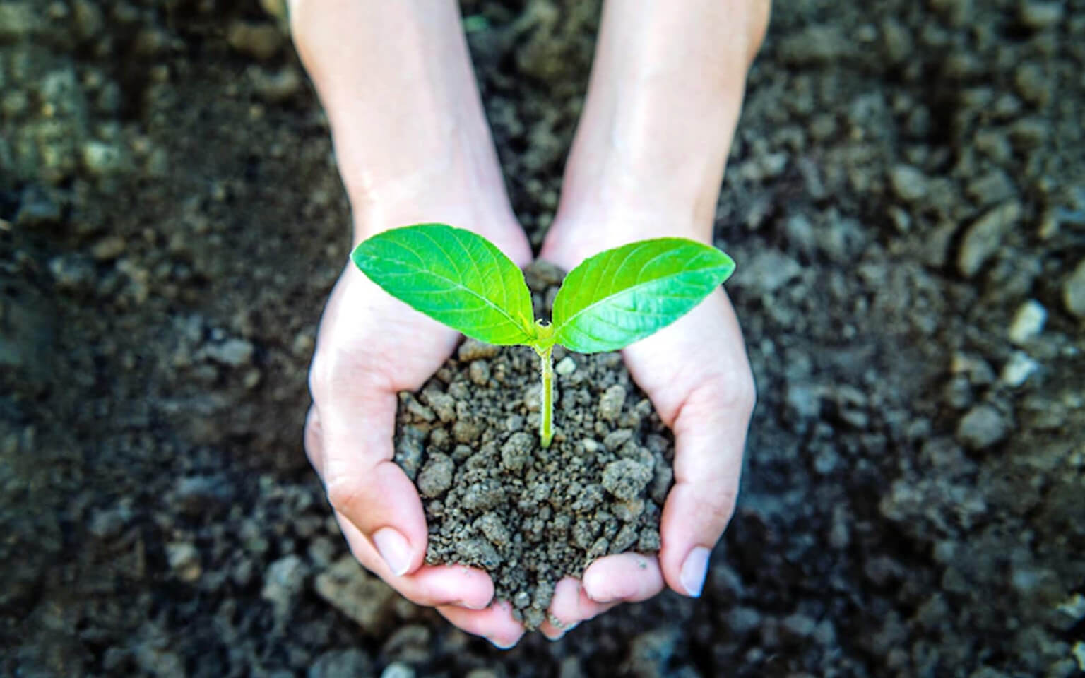 Gated Community Plots in Bangalore | About Aakruthi Properties